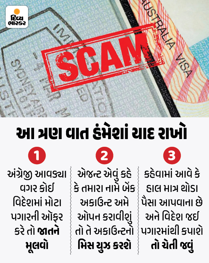 Visa Fraud Alert: Expert Partheshbhai Thakkar Explains Hard and Soft ...