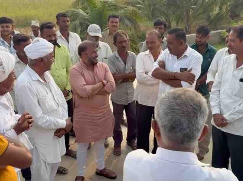 After lion hunt, MLA bought 10 sheep at his own expense | અમરેલીમાં સિંહે ઘેટાનો શિકાર કર્યો ...