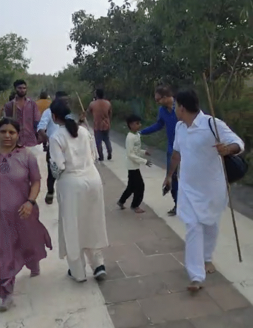 Lion's walk on Shetrunji Giriraj