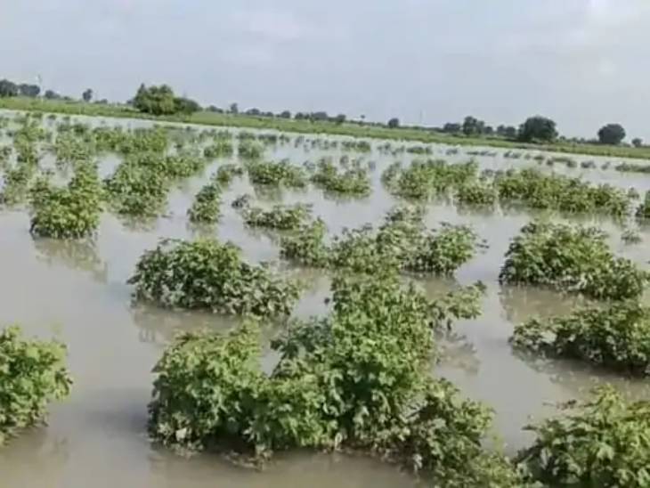 'This winter Gujarat to feel cold for only 30 days' Weather experts say ...