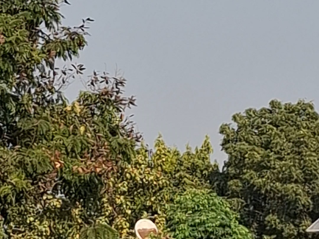 People in Bharuch experience cold, minimum temperature recorded at 17 ...