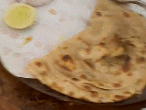 Insects emerge from roti basket at MOCHA restaurant in Ahmedabad, VIDEO
