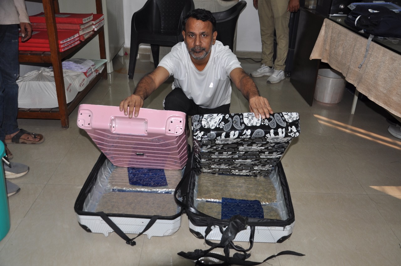 Surat Airport Hybrid Ganja Smuggling Busted; Bangkok Passenger Arrested ...