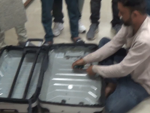 Surat Airport Hybrid Ganja Smuggling Busted; Bangkok Passenger Arrested ...