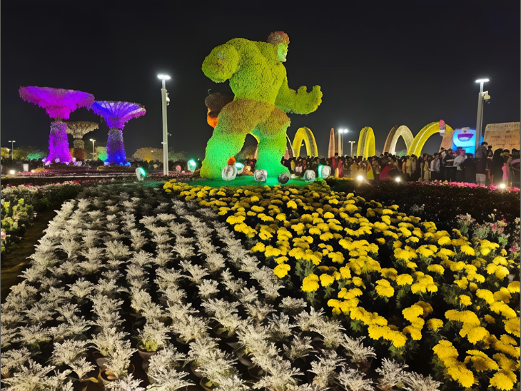 The district's first flower show in Navsari