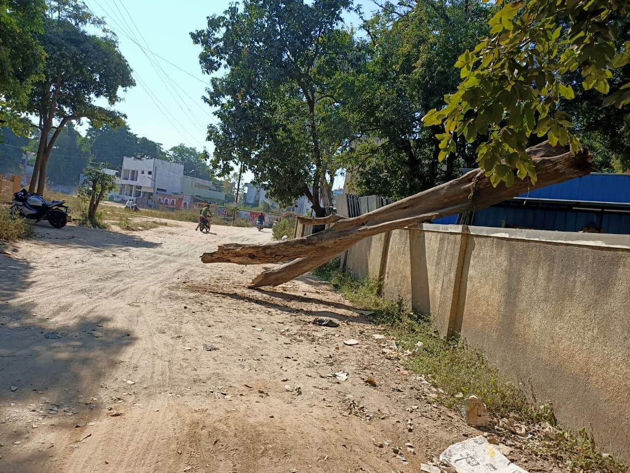 Godhra RTO Polytechnic College Road Hanging Tree Danger Photos | ગોધરા ...