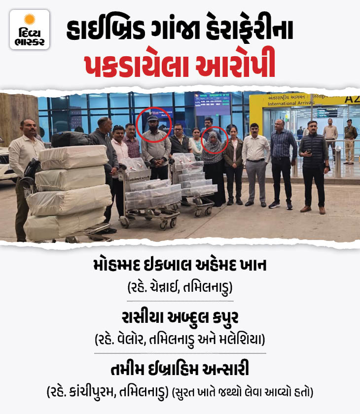 Surat Airport: 17.7 Kg Hybrid Ganja Worth ₹6 Crore Seized; 2 Arrested ...