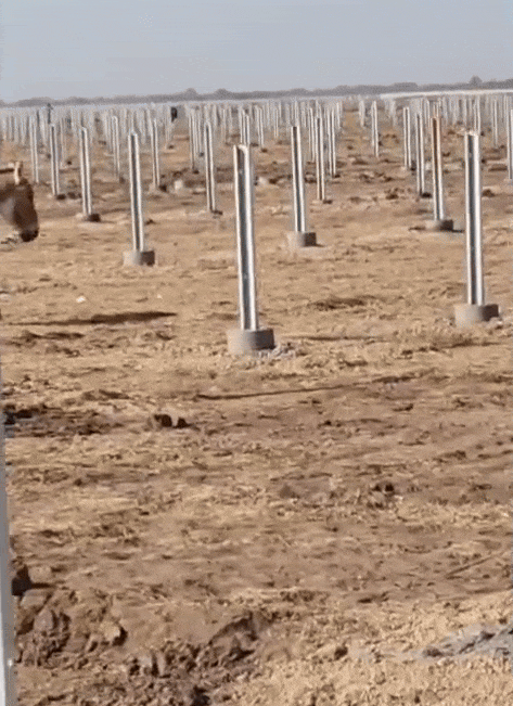 Gujarat Surendranagar Solar Plant Corruption; ED Raids Collector ...
