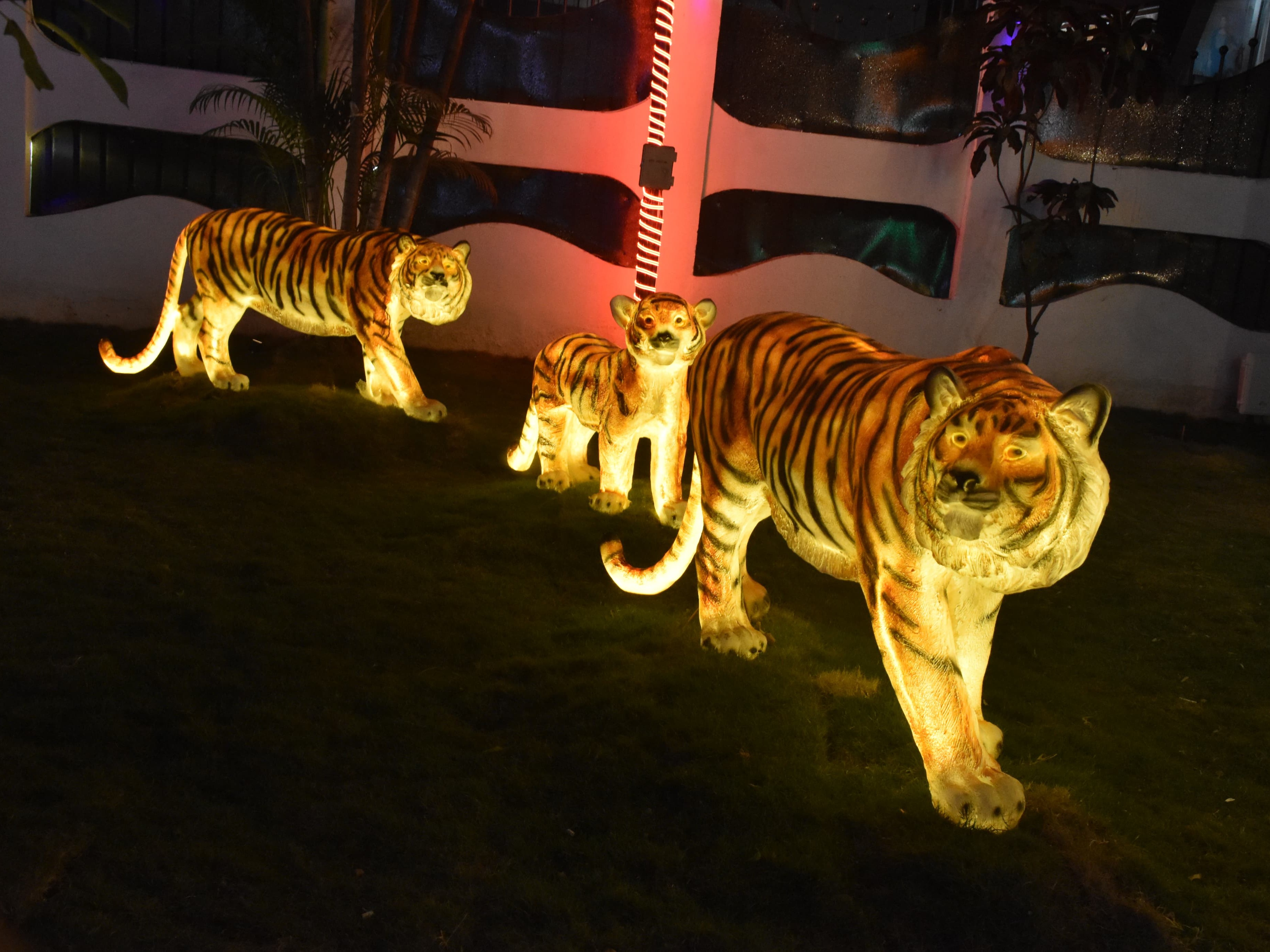 Navsari's historic python garden has now become a glow garden