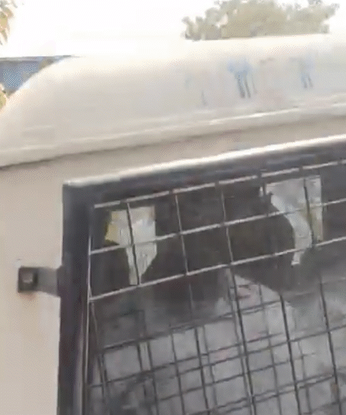 Surat Leader Shravan Joshi Imprisoned Under Pasa | Lajpore Jail