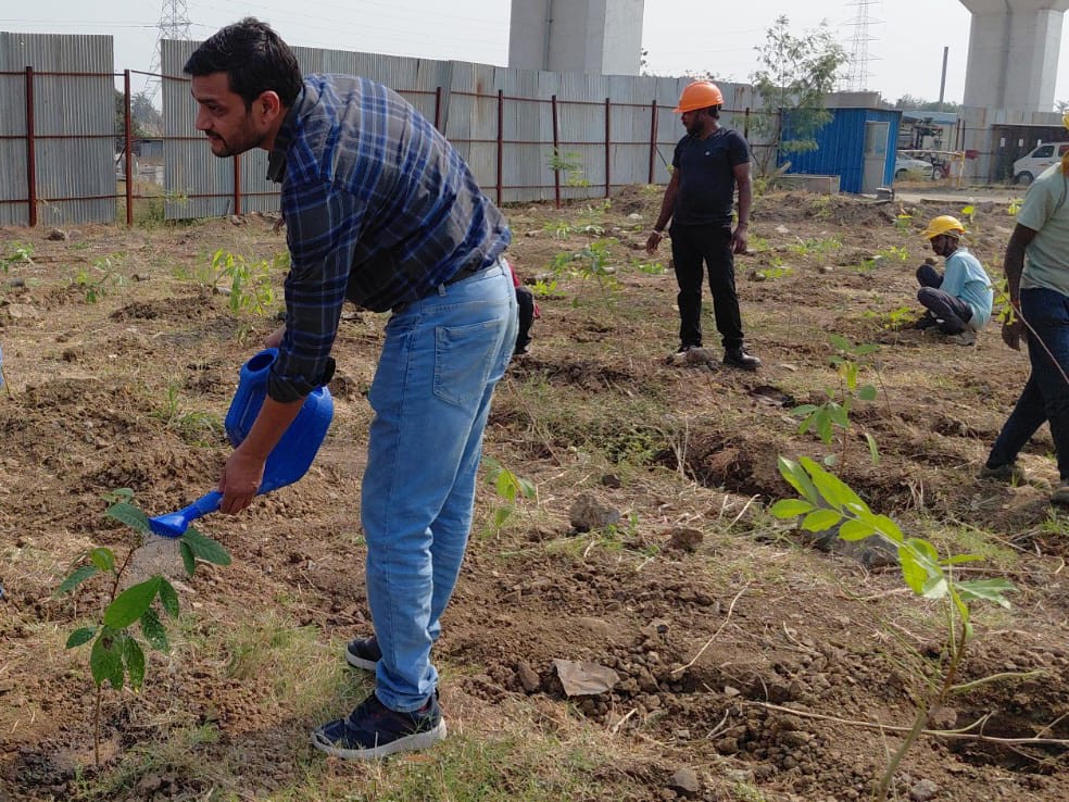L&T Construction Plants 550 Saplings at Bullet Train Site in Navsari