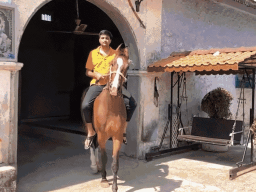 NRI Tower Mystery: Shaktisinh Gohils Nephew, Daughter-in-Law Death ...