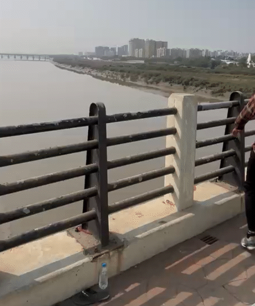 Surat Cable Bridge Suicide; Young Gem Artist Jumps Into Tapi River