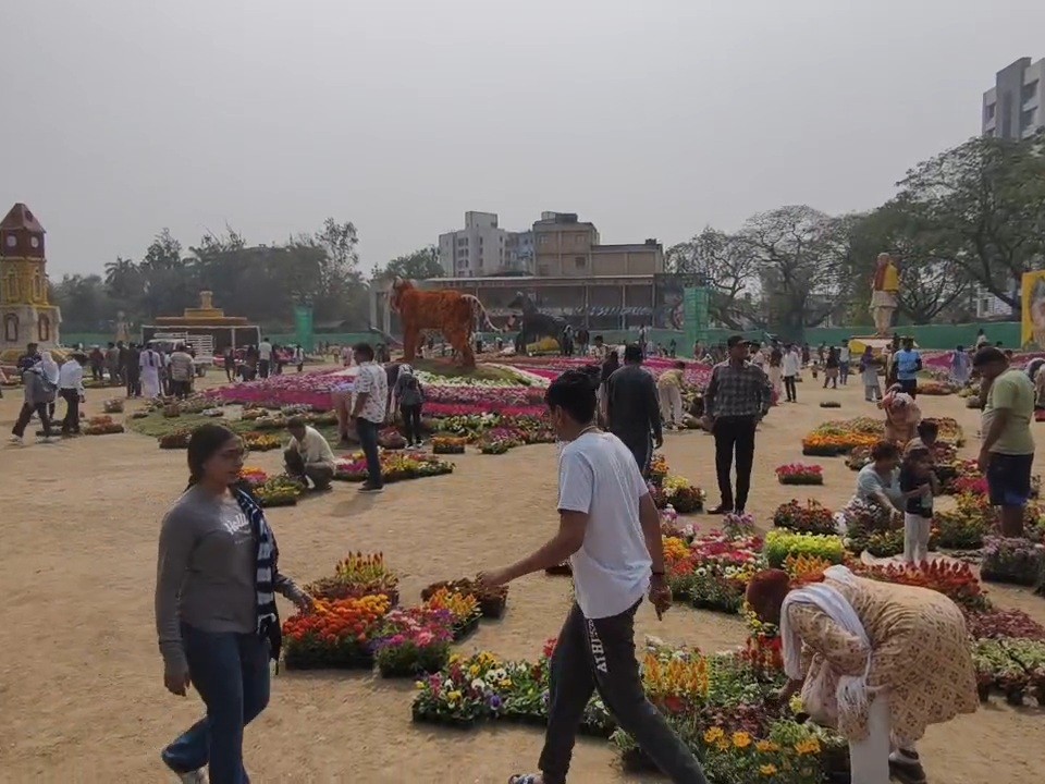 Navsari Flower Show Plants Sell Out; Long Queues at Lunsi Kui Ground