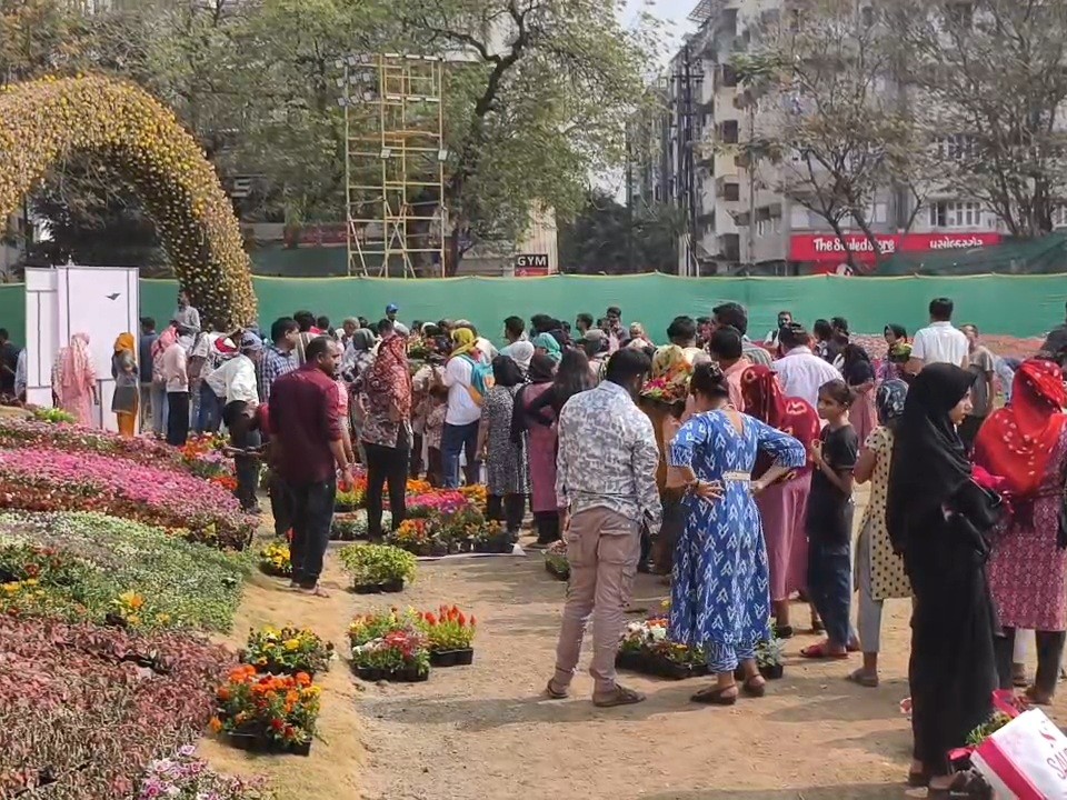 Navsari Flower Show Plants Sell Out; Long Queues at Lunsi Kui Ground
