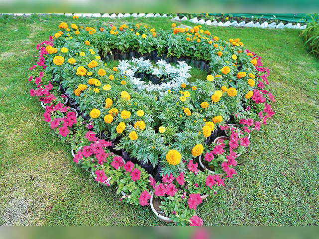 Flower show adorned with 70,000 flowers of 21 types