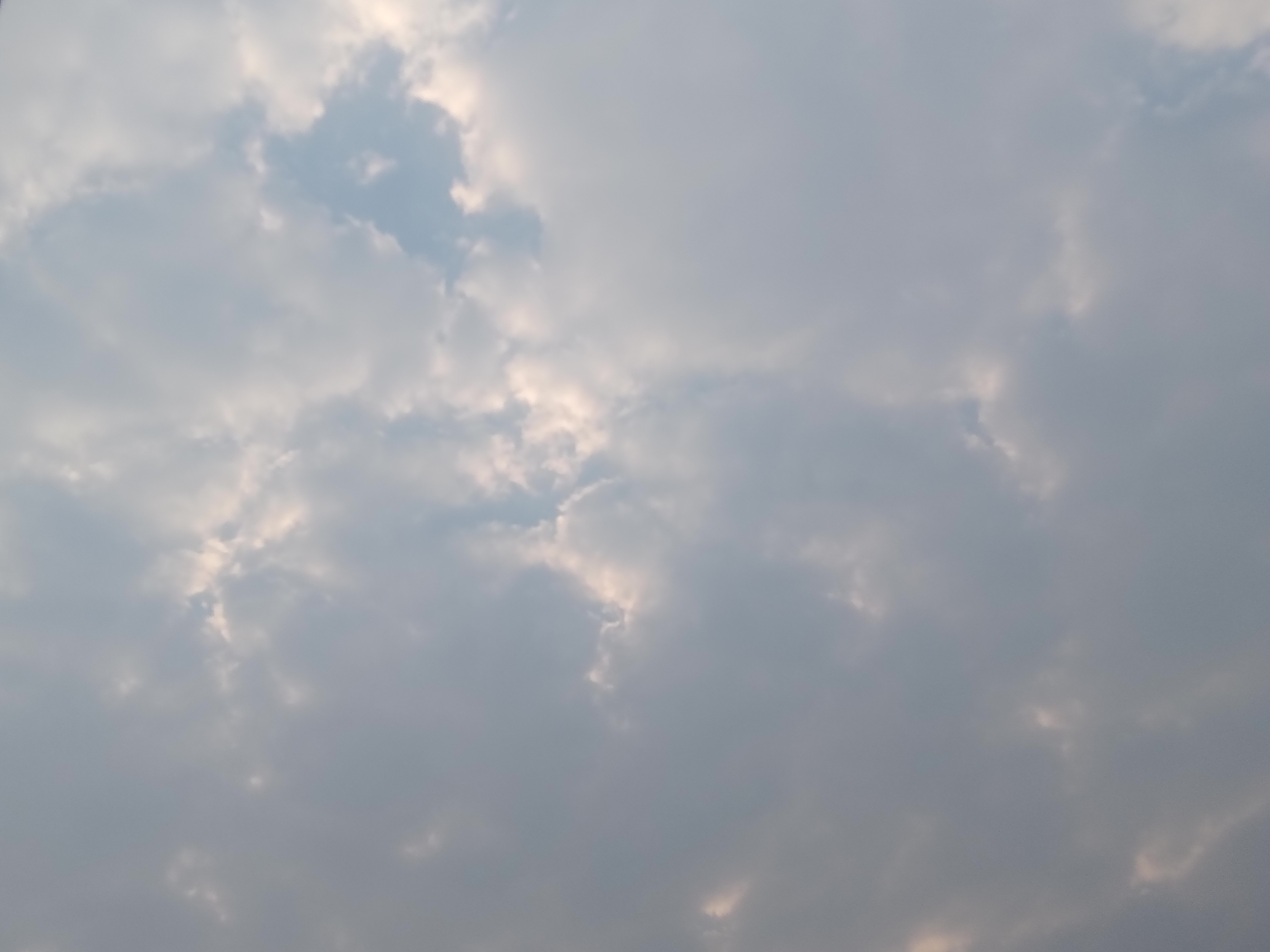 Halol Unseasonal Rain Threatens Rabi Crops; Panchmahal Weather Alert