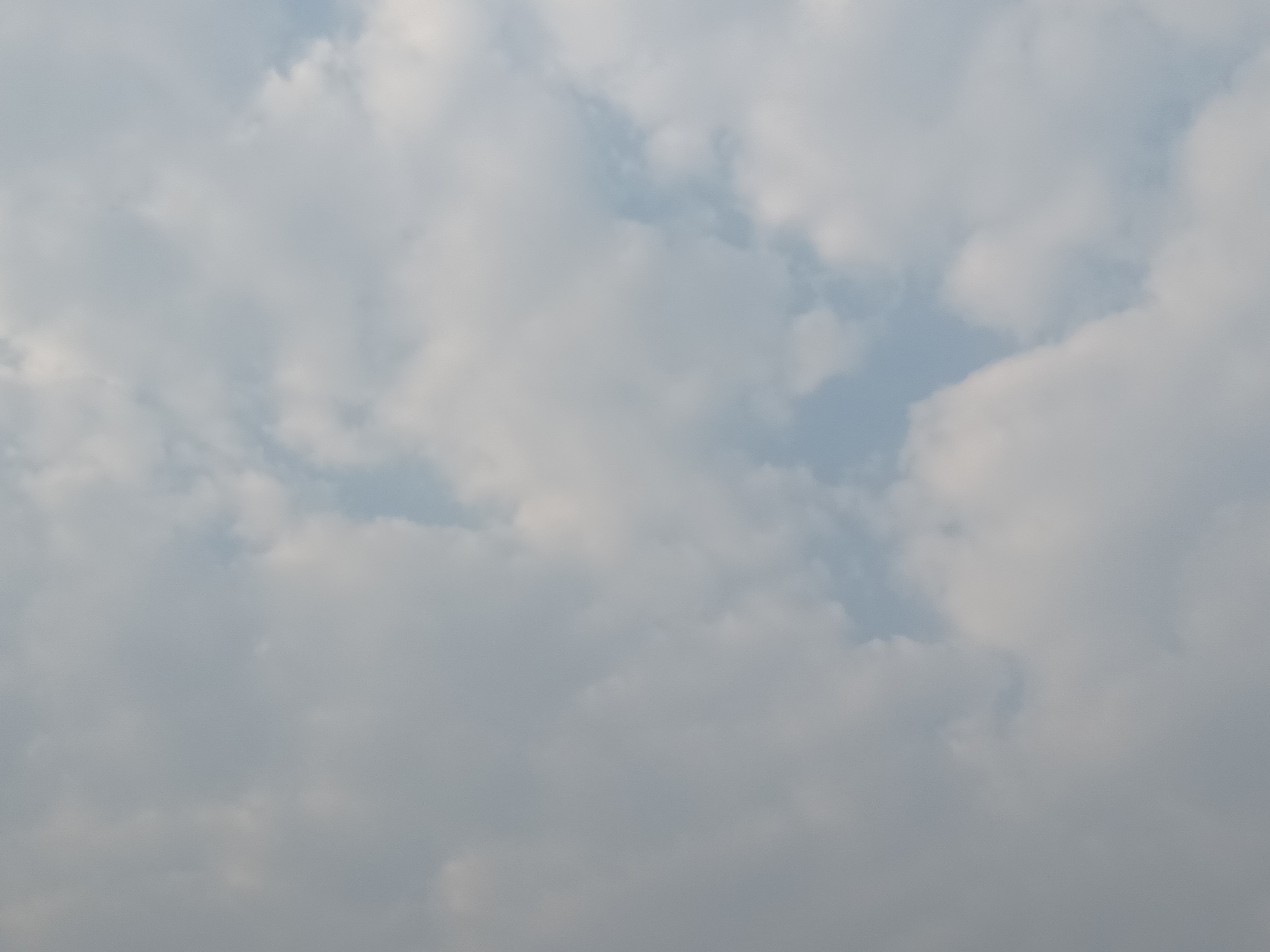 Halol Unseasonal Rain Threatens Rabi Crops; Panchmahal Weather Alert