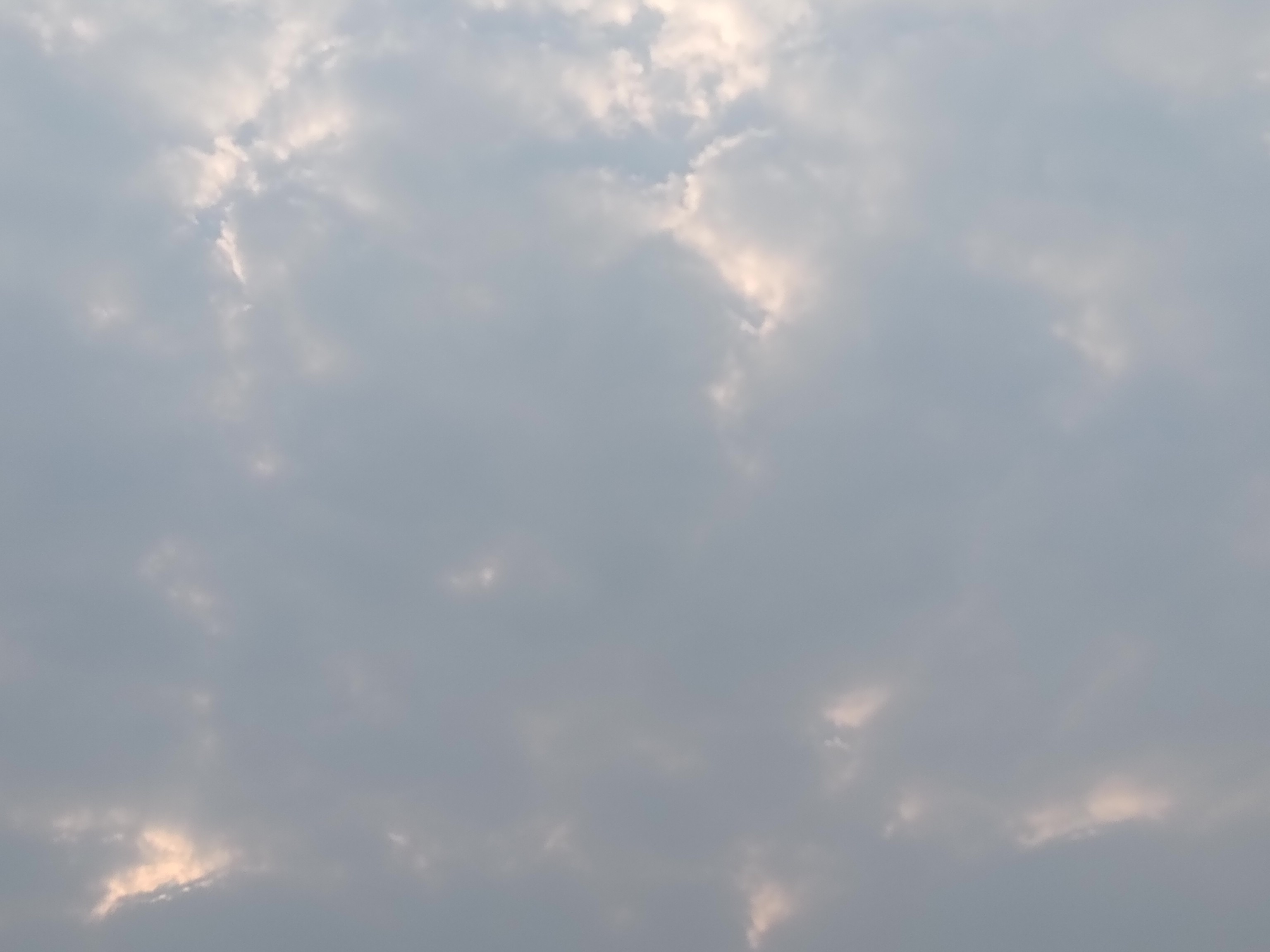 Halol Unseasonal Rain Threatens Rabi Crops; Panchmahal Weather Alert