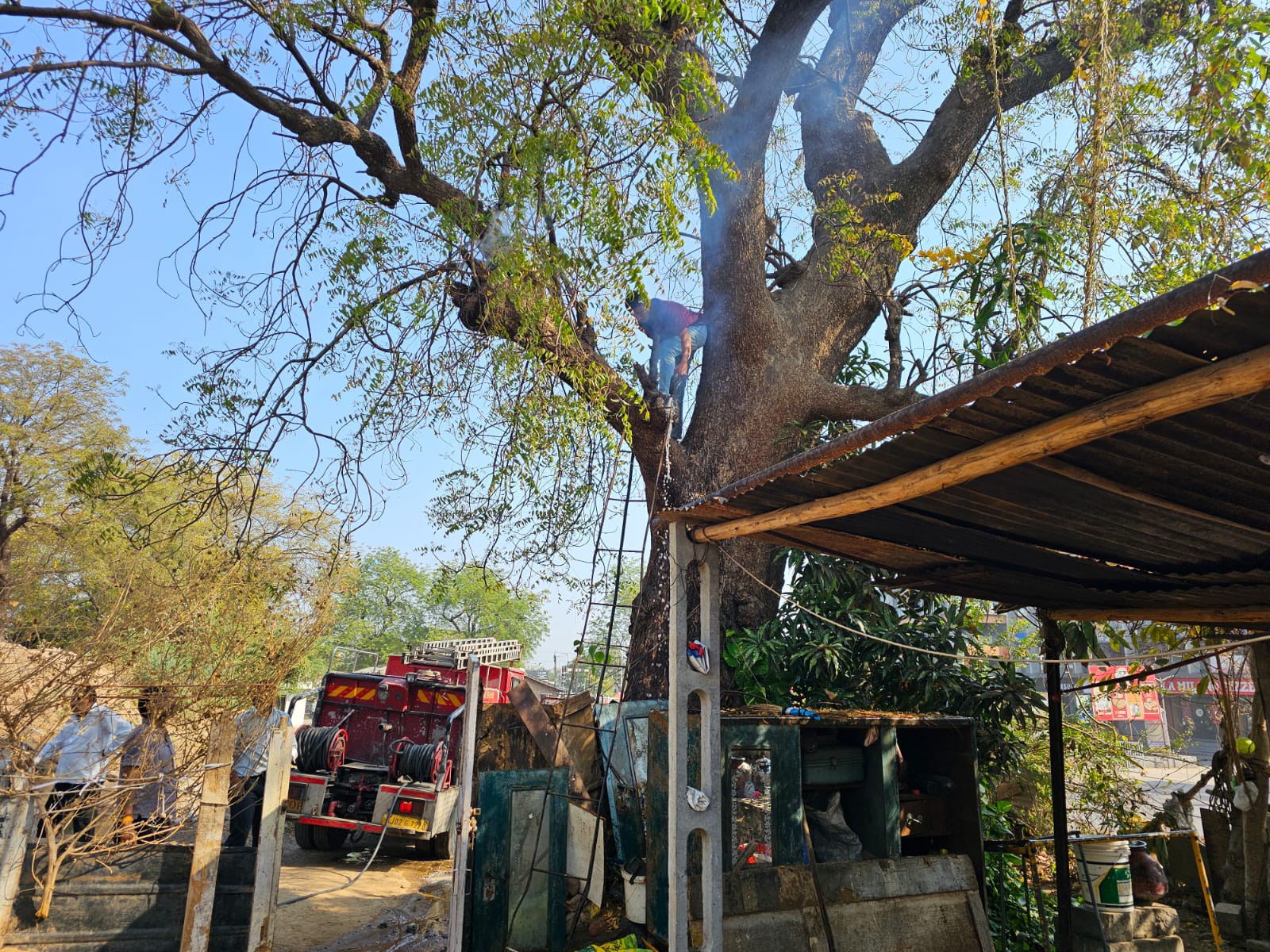 Kadi-Kalol Road Fire; Fire Brigade Controls Tree Fire | Hanuman Plaza