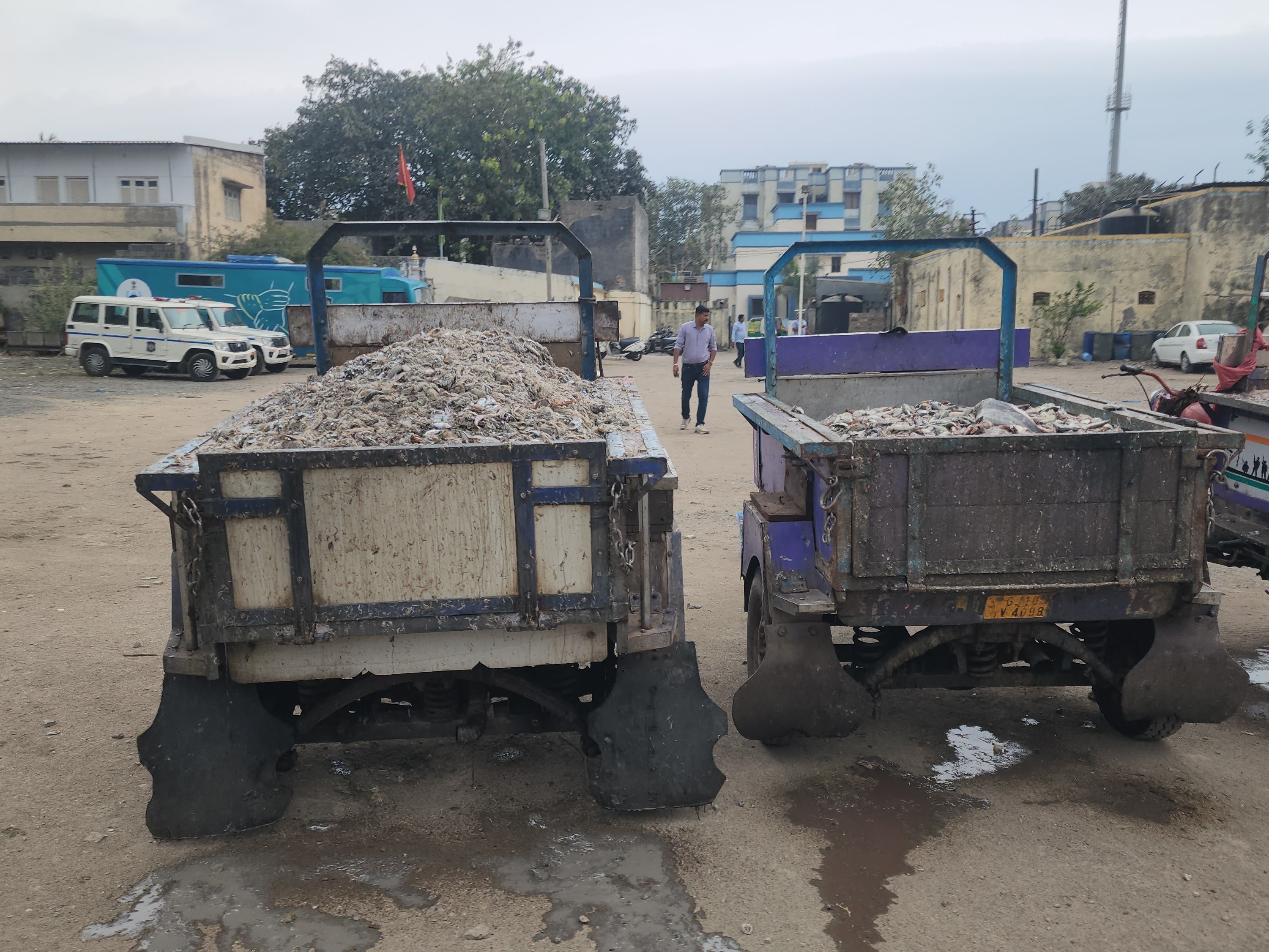 Veraval Illegal Fish Transport; 4 Autorickshaws Seized by SOG