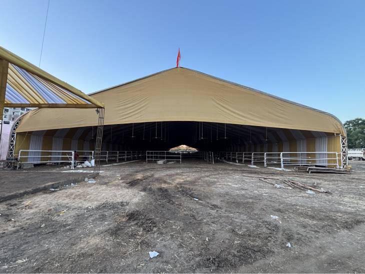 Cow Maha Kumbh Ahmedabad: Gokul in 116 Bighas | Cattle Conservation
