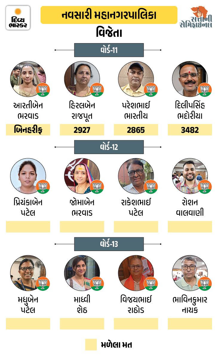 Navsari Jilla, Taluka Panchayat And Palika Election Winner Candidates ...