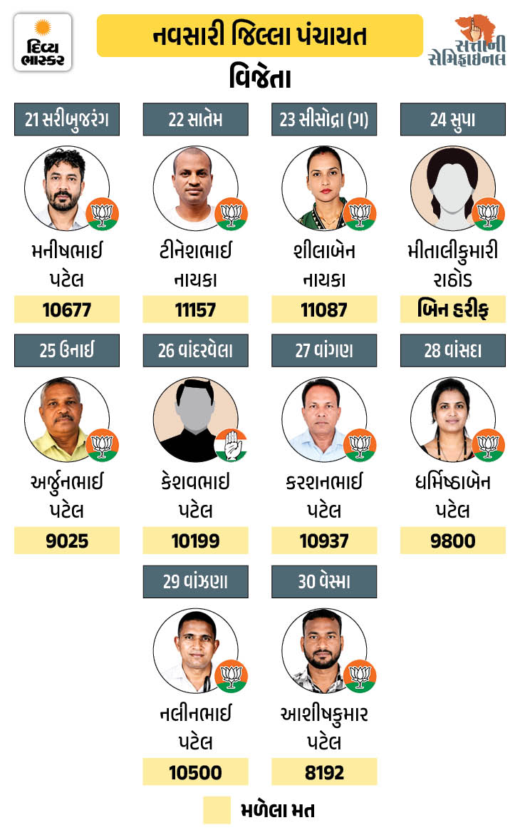 Navsari Jilla, Taluka Panchayat And Palika Election Winner Candidates ...