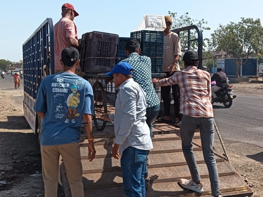 PM Route Drive Jamnagar; Municipal Corp Campaign | 60+ Staff