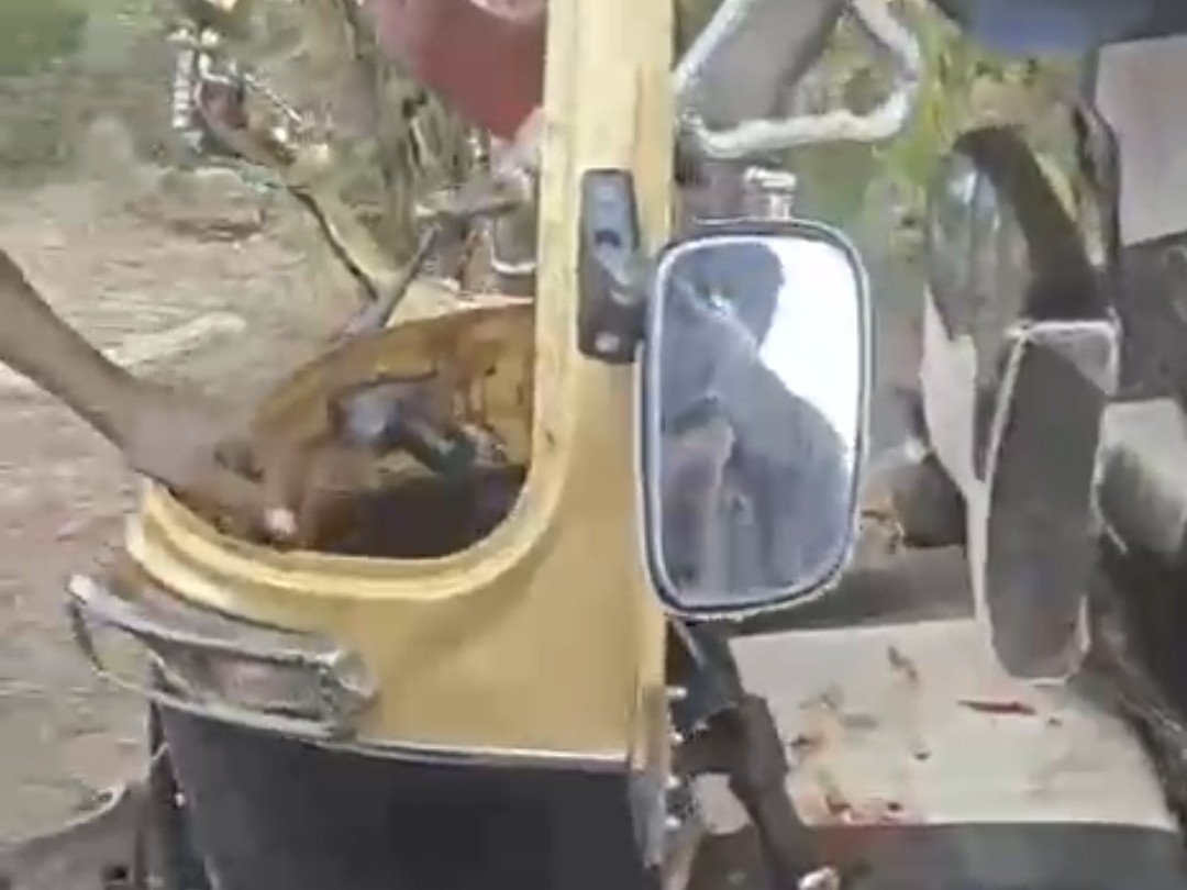 Tankariya-Kamboli Road Accident: Van-Rickshaw Collision Injures Many in ...