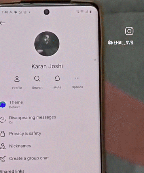 Nehal Vadoliya Accuses Karan Joshi; Lalo Actors Instagram Chat Viral