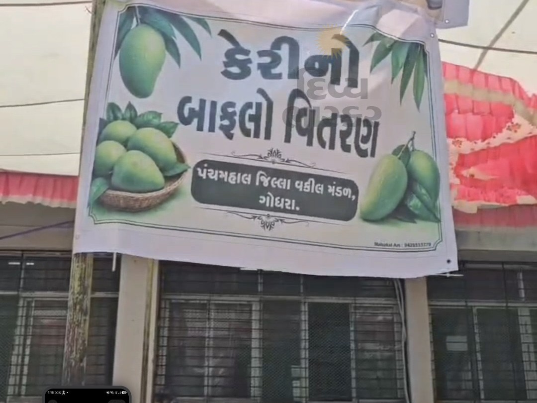 Godhra Court Lawyers Distribute Mango Pulp for Heat Relief
