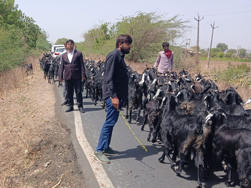 Chotila Dy Collector & MLA Inspect Road Safety | Anandpur Highway
