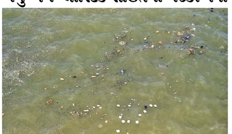 1 lakh fish were kept in Hamirsar, now not even 100 are seen together!