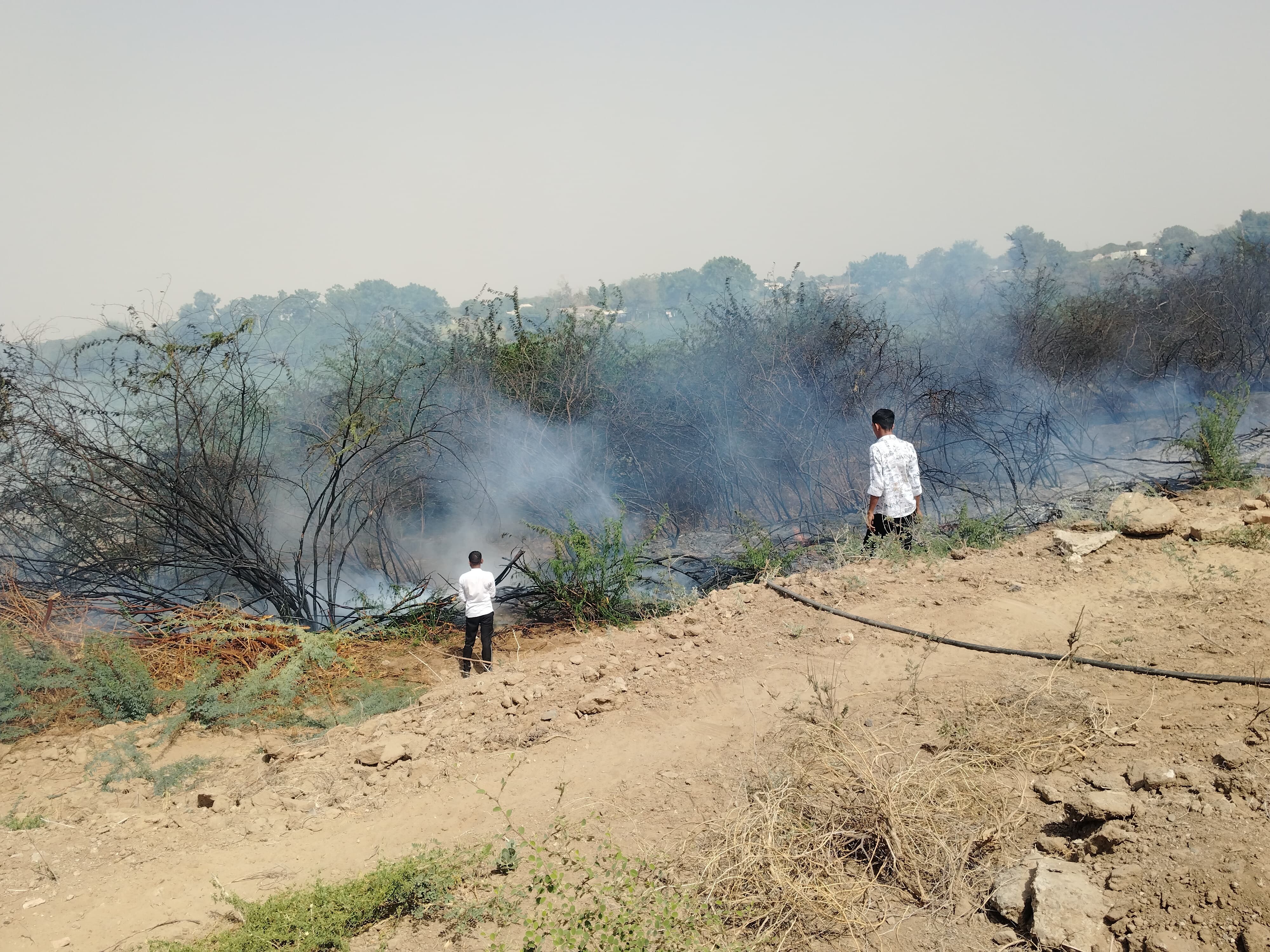 Tharad Jamda Fire: Live Wire Short Circuit Burns Bushes Near Narmada Canal