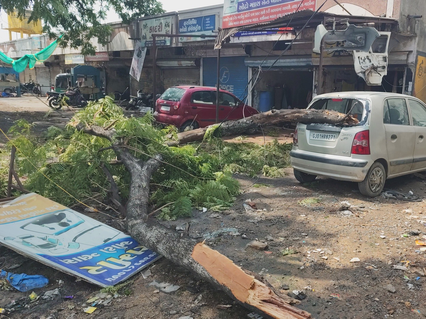 Bodeli Windstorm & Rain Damage; Trees Fall, Vehicles Damaged