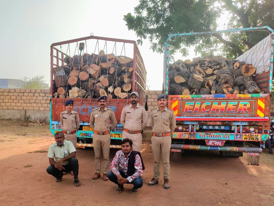Surendranagar Wood Seized; 15 Ton Timber, 2 Vehicles Worth ₹18.20 Lakh