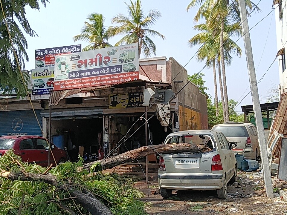 Bodeli Windstorm & Rain Damage; Trees Fall, Vehicles Damaged