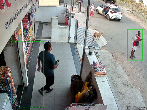 Vadodara Elderly Woman Hit by Speeding Car | Foreign Driver on Ajwa Road