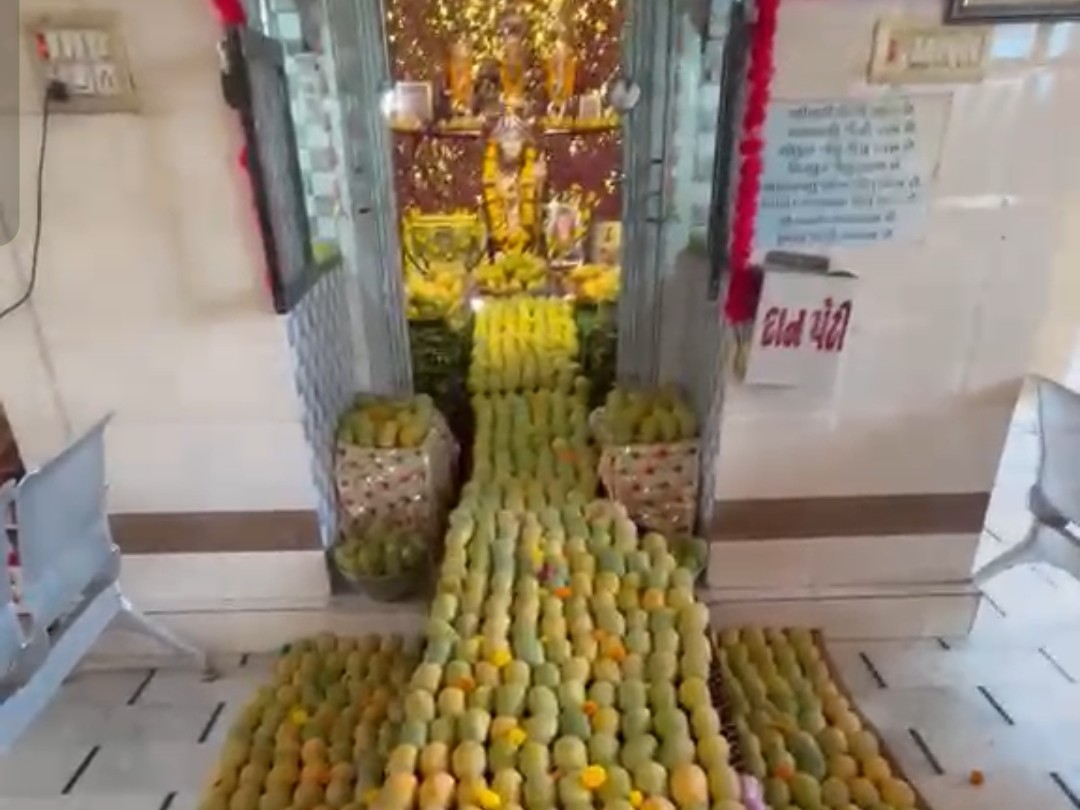 Veraval Jalram Mandir Celebrates Mango Festival With 251kg Decor
