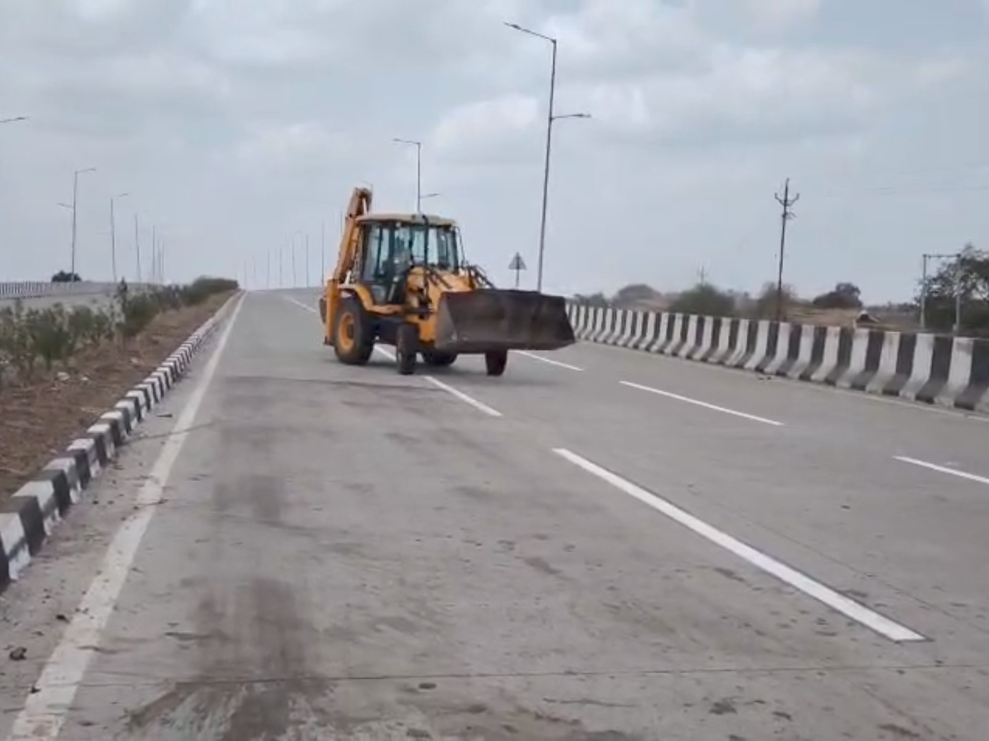 Cow Accident on Talaja Highway; Cow Protectors Perform Rites