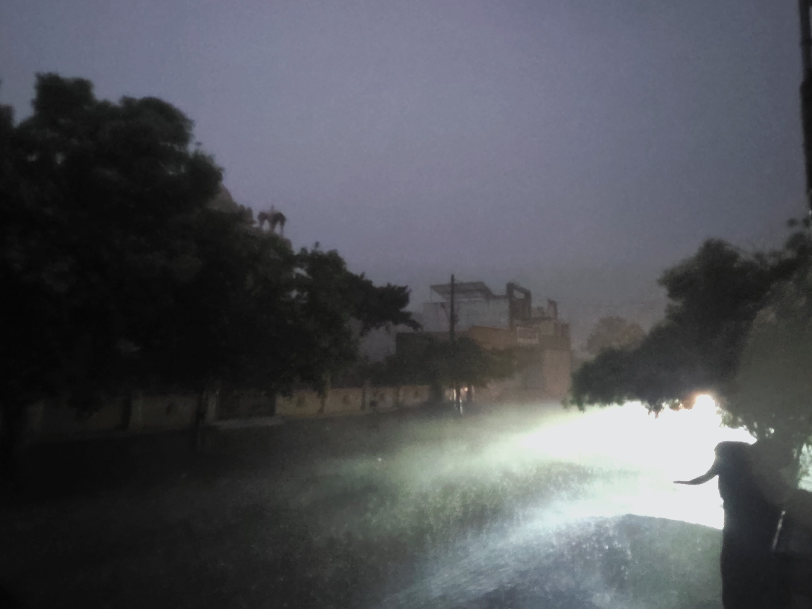 Surendranagar Heat Relief: Heavy Winds, Rain Disrupt Power