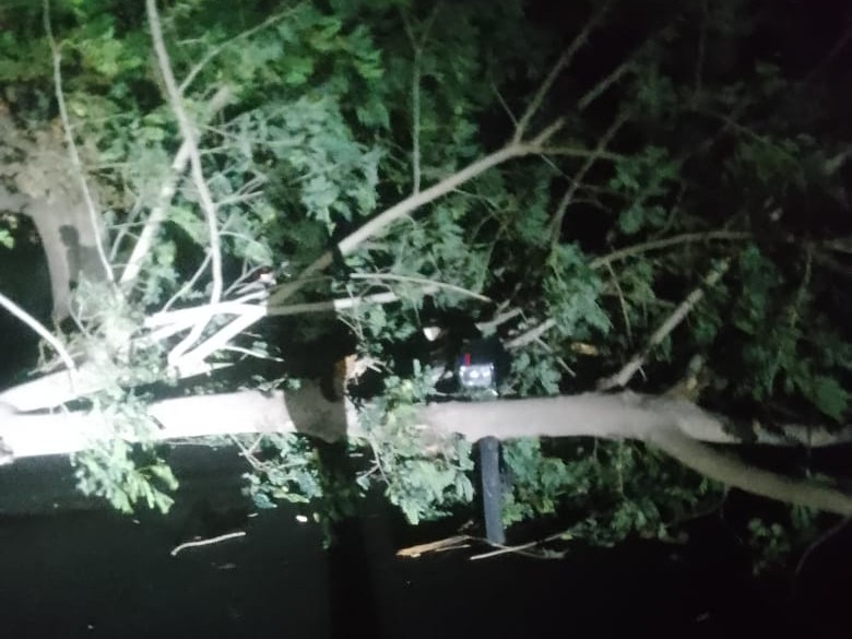 Mahisagar Mini Cyclone: Trees Fall, People Injured, Power Outage