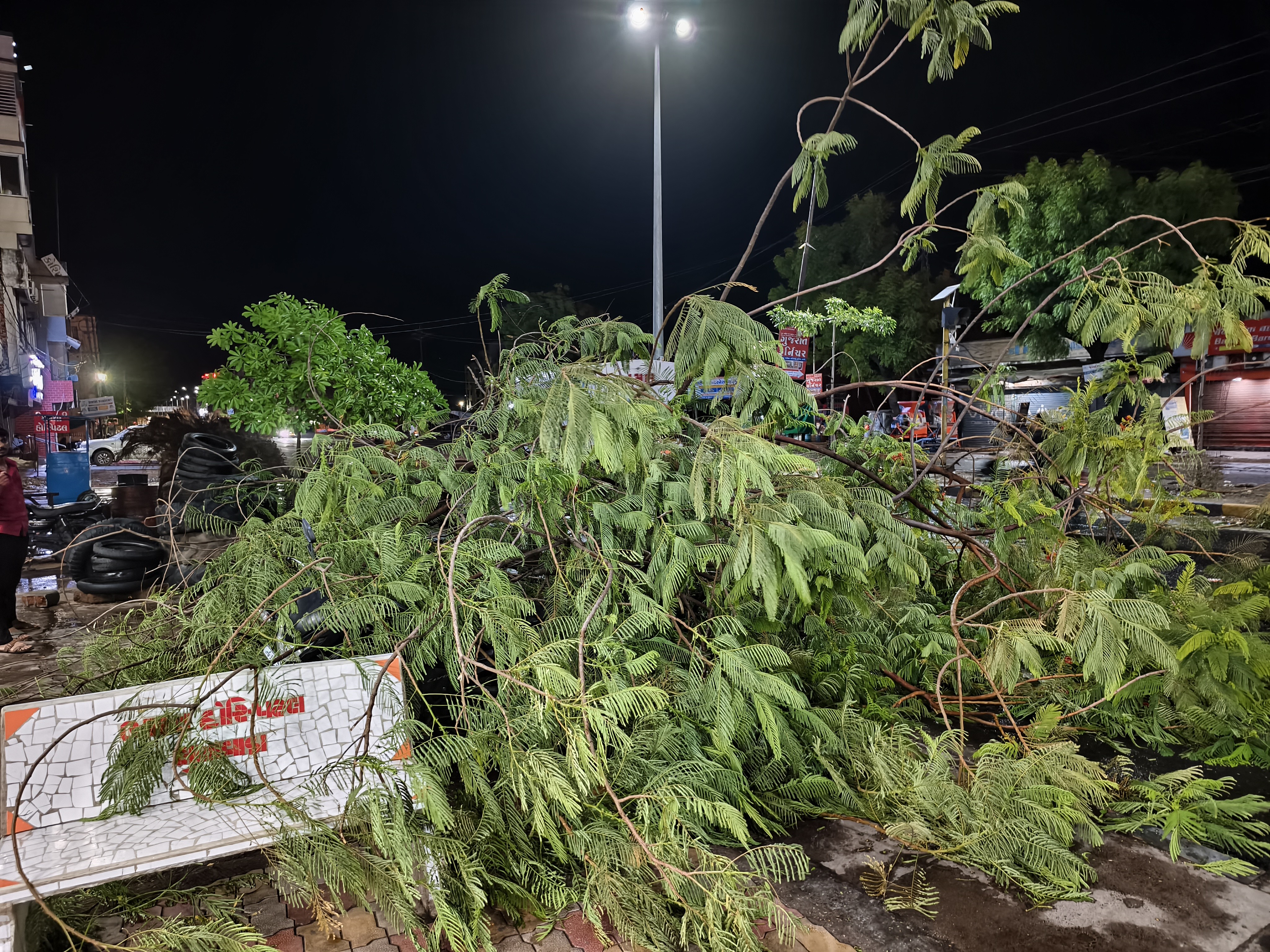 Mahisagar Mini Cyclone: Trees Fall, People Injured, Power Outage