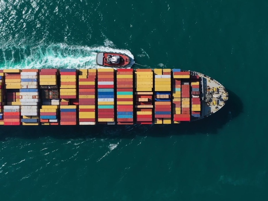 India Marine Exports Hit Record FY26; Shrimp Leads Exports to US, China