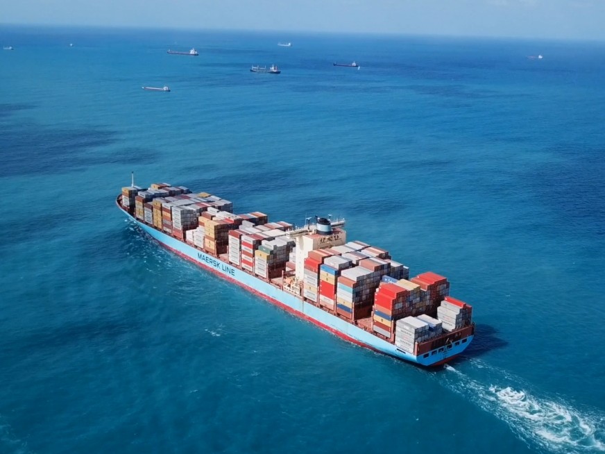 India Marine Exports Hit Record FY26; Shrimp Leads Exports to US, China