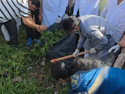 Sabarmati Cleaning Drive: BJP Ministers, MLAs Photo Session Sparks ...