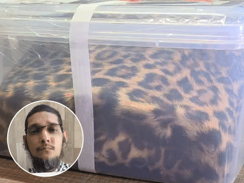 Surat DRI Busts Leopard Skin Smuggling Racket; Rs 1 Crore Deal