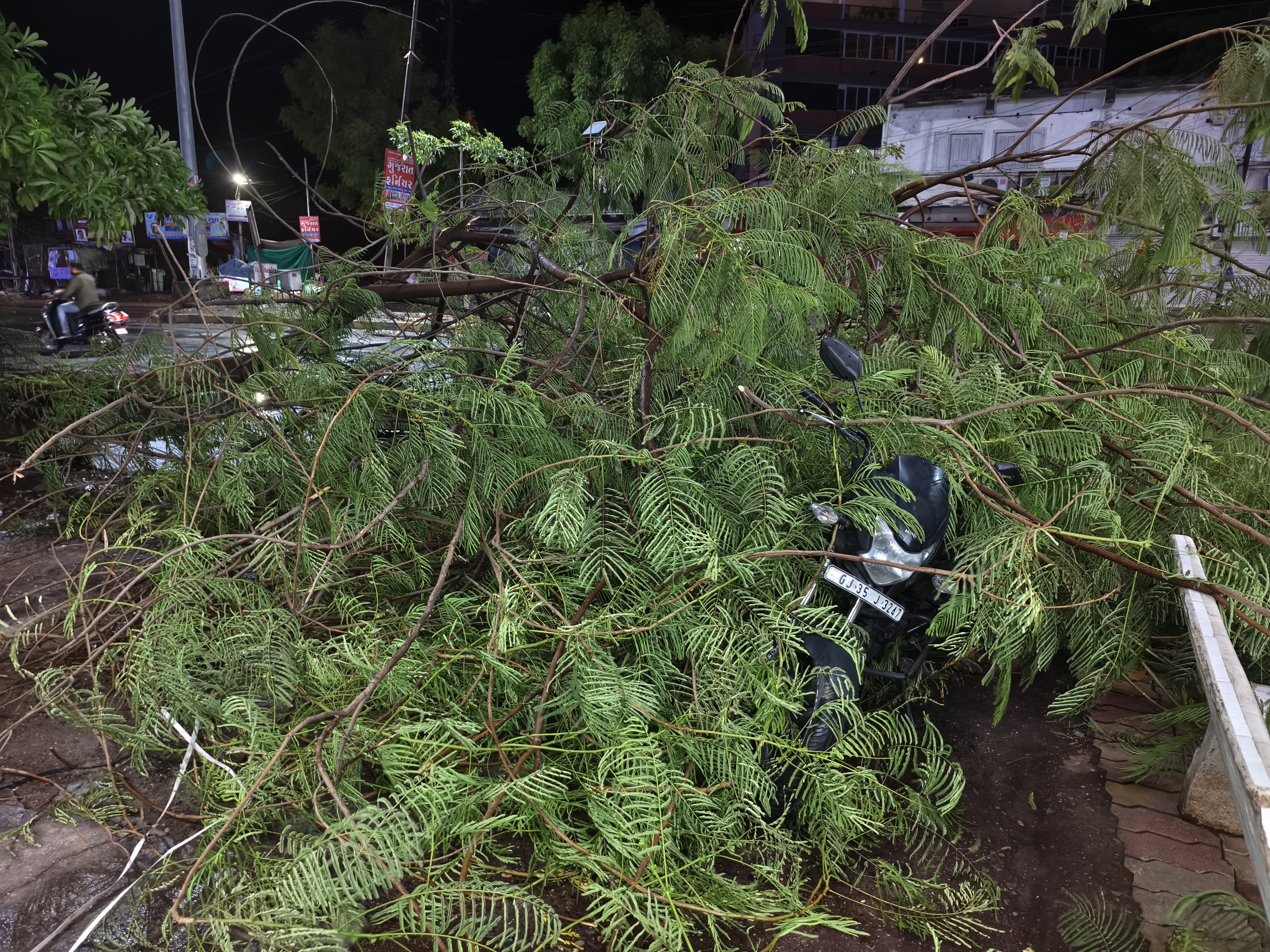 Mahisagar Mini Cyclone: Trees Fall, People Injured, Power Outage
