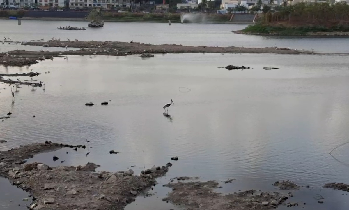 Junagadh Narsinh Mehta Sarovar Scam; Corruption Allegations ...